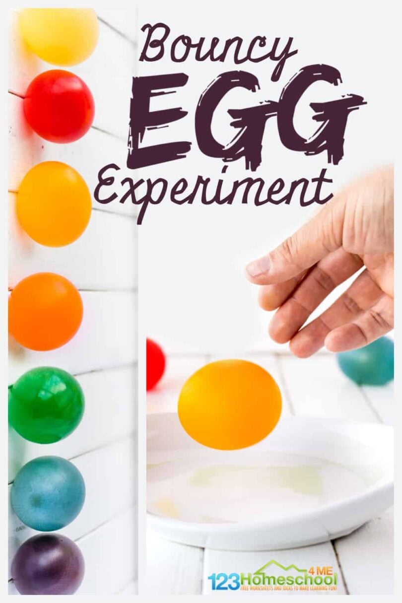 🥚 EASY Sink or Float Egg Science Experiment with FREE Worksheet