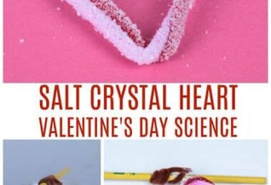 Science – Kindergarten Worksheets and Games