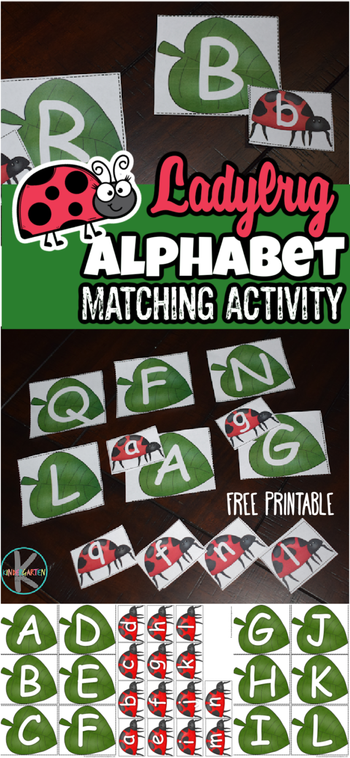 🐞 Free Printable Ladybug Alphabet Activity for Kids