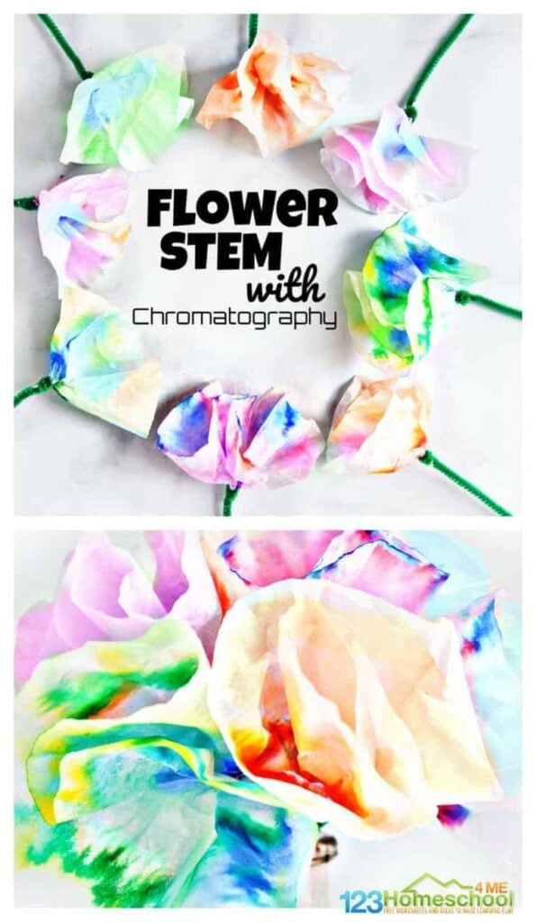 🌼 FREE Flower Shape Craft - FREE Printable Math Activity for Kindergarten