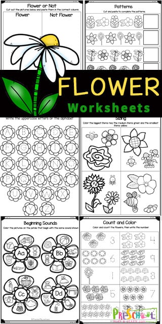 🌱 FREE Plant Life Cycles Printable Emergent Reader and Worksheets