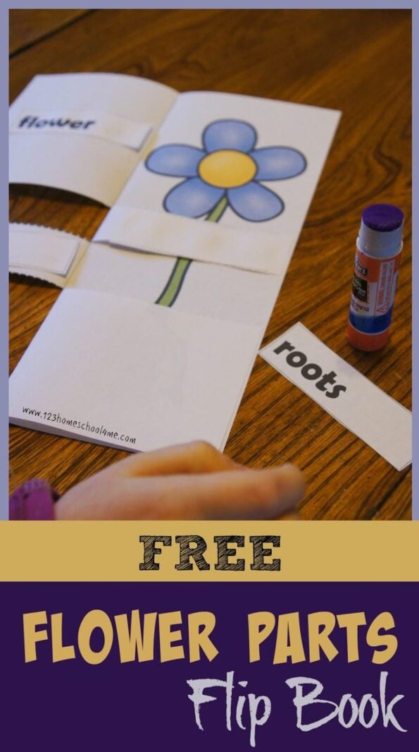 FREE Printable Flower Worksheets for Kindergarten