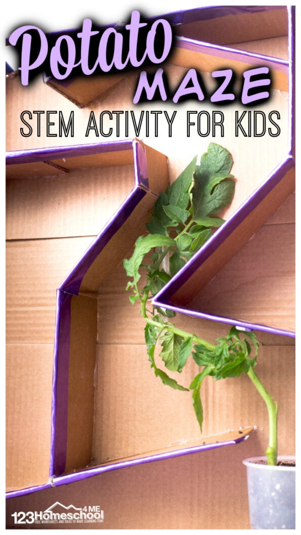 Add title How to Plant a Seed Step-by-Step Sequencing Worksheet FREE