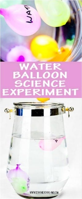 How to Grow Celery in Water Experiment