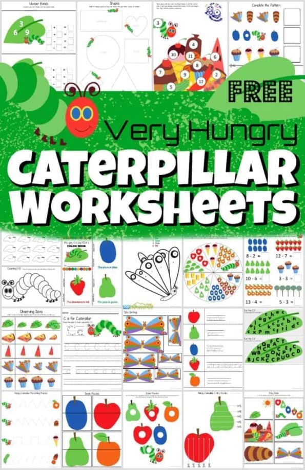 🐼 Free Printable Panda Worksheets (w/ Life Cycle and Coloring Pages)