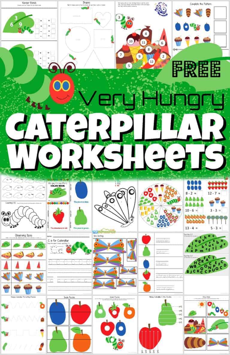 Free Worm Worksheet Printables