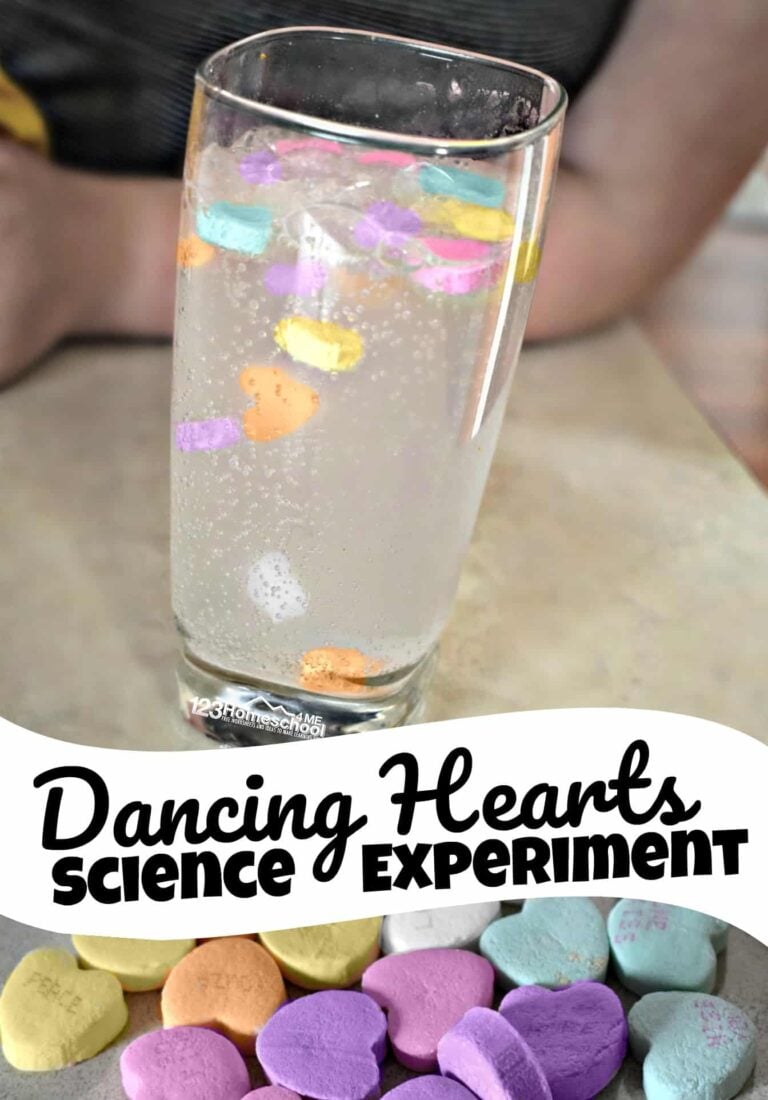 Valentines Day Salt Crystal Hearts Science Experiment