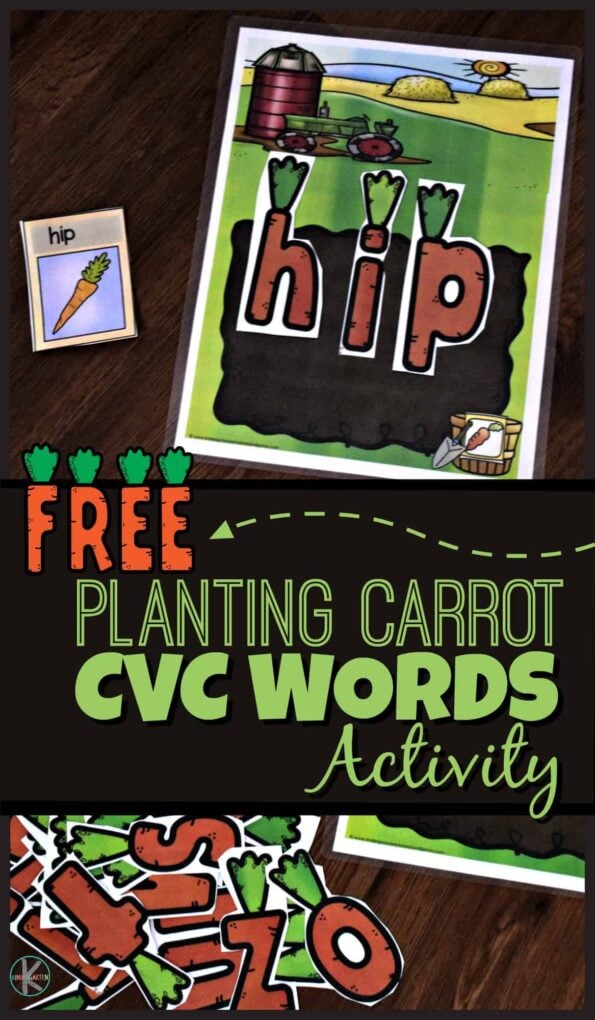 FREE CVC at Word Family Worksheets pdf & Activity