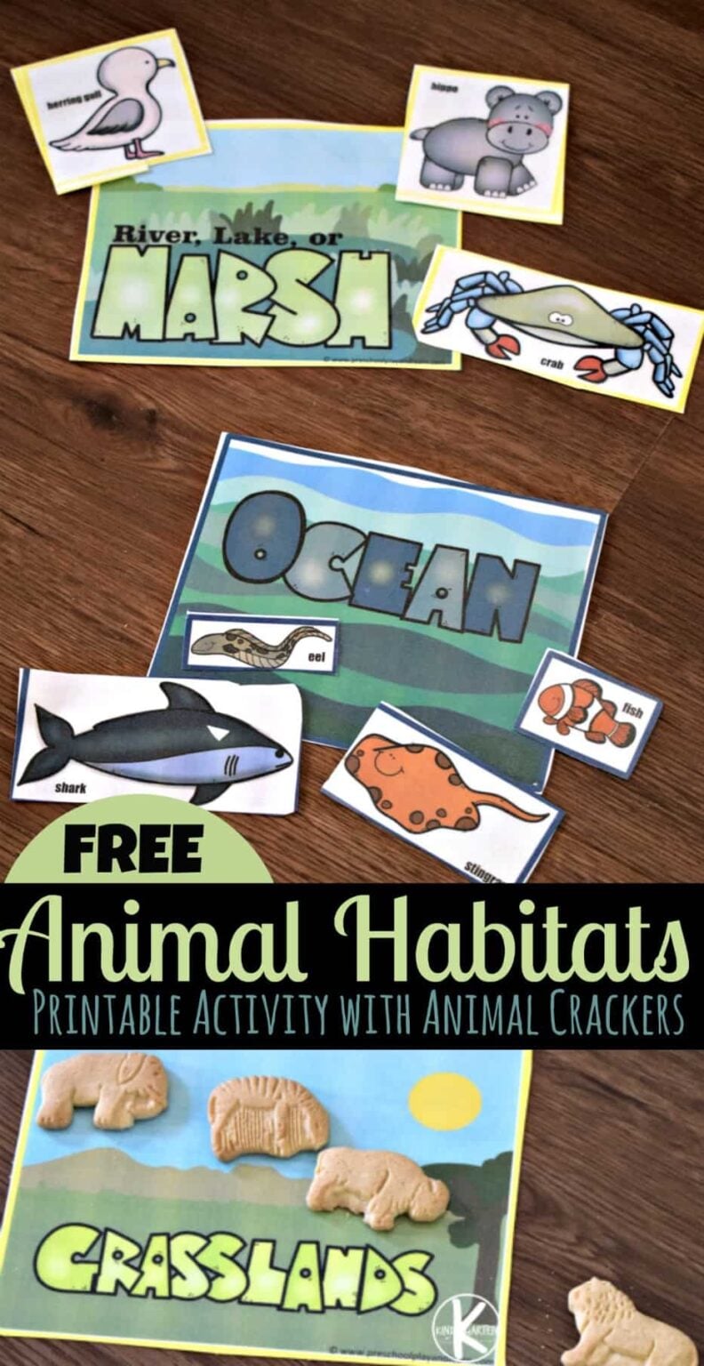 FREE Printable Animal Habitats Activities for Preschool & Kindergarten