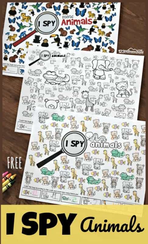 ‍☠️ FREE Printable I Spy Pirate Treasure Hunt Game