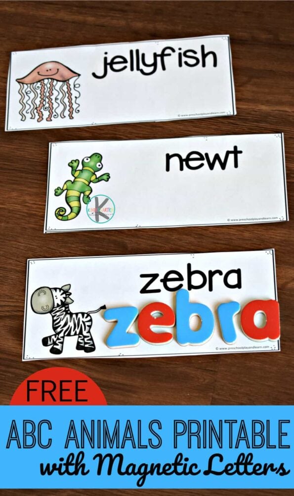 Guess the Animal - Who Am I? Cards (free printable)