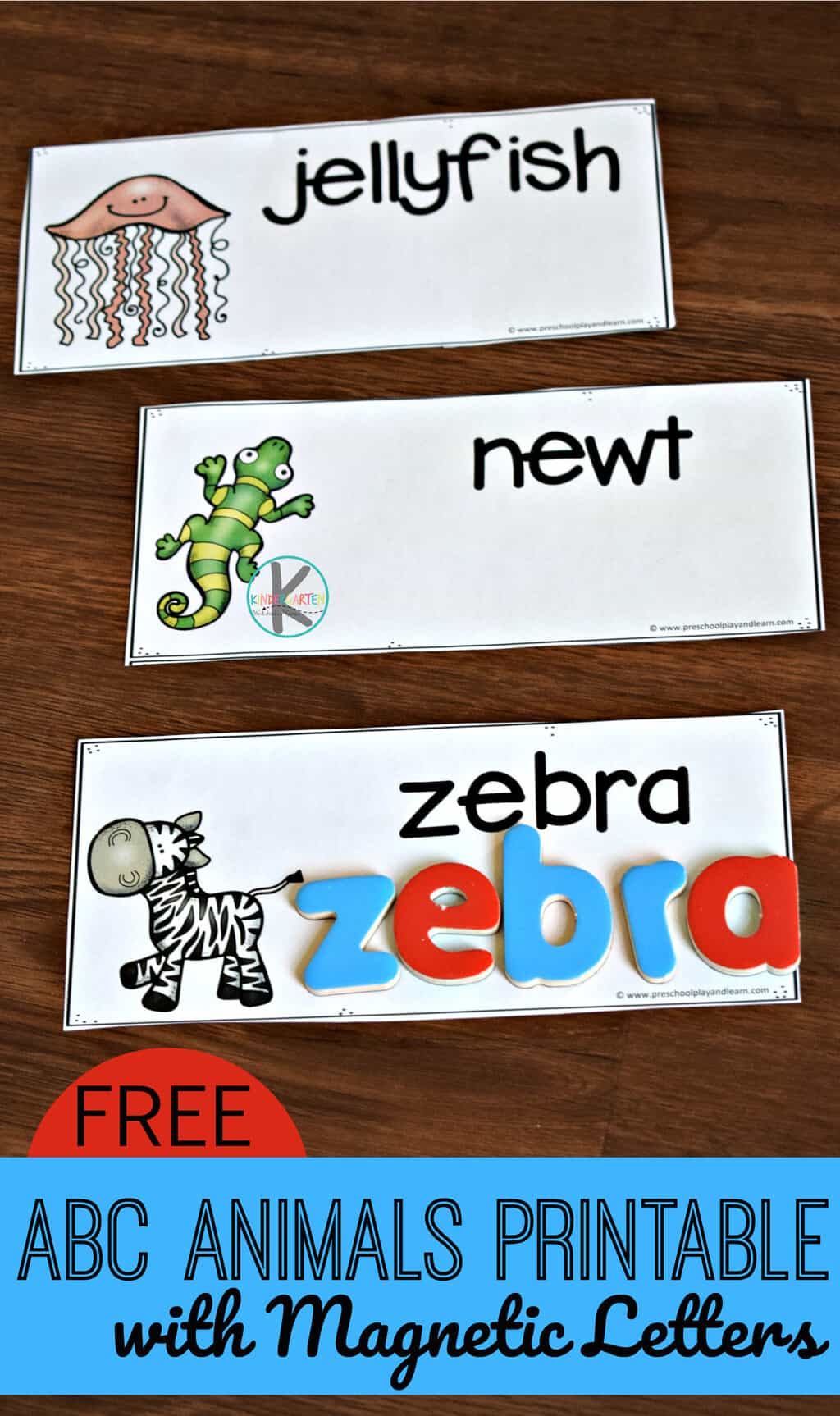 🦜🦍🦛 FREE FREE Printable Endangered Animal Worksheets for Kindergarten