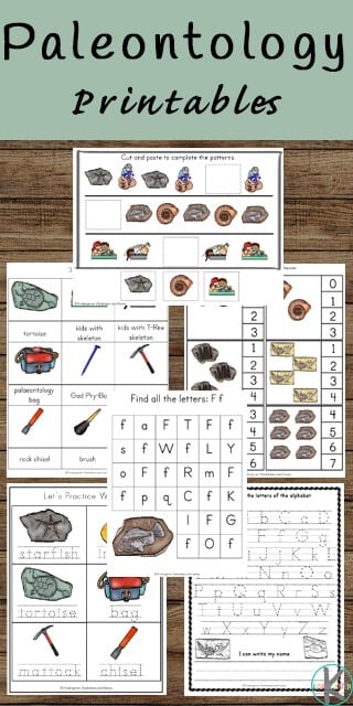 FREE Paleontologist Printables