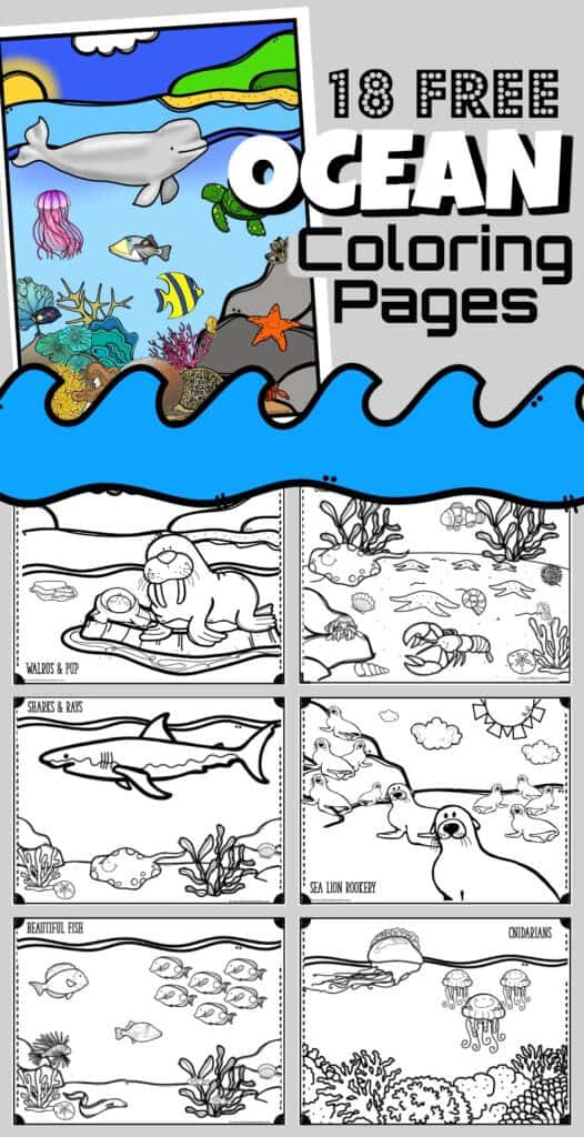 FREE Ocean Color by Number
