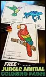 🐘🐒 FREE Zoo Animals Color by Number Worksheets for Kindergarten