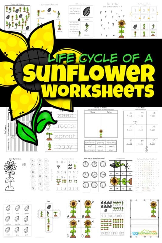 FREE Sunflower Letter Matching Activity
