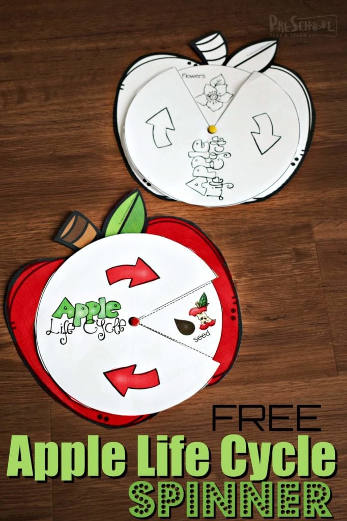 🍏 Apple Browning Science Experiment with FREE Oxidation Worksheet