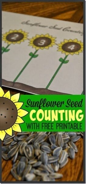 FREE Sunflower Letter Matching Activity
