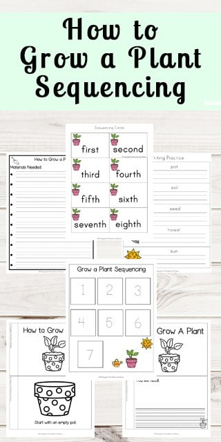 🌺 Flower Counting Math Worksheets for Kindergarten