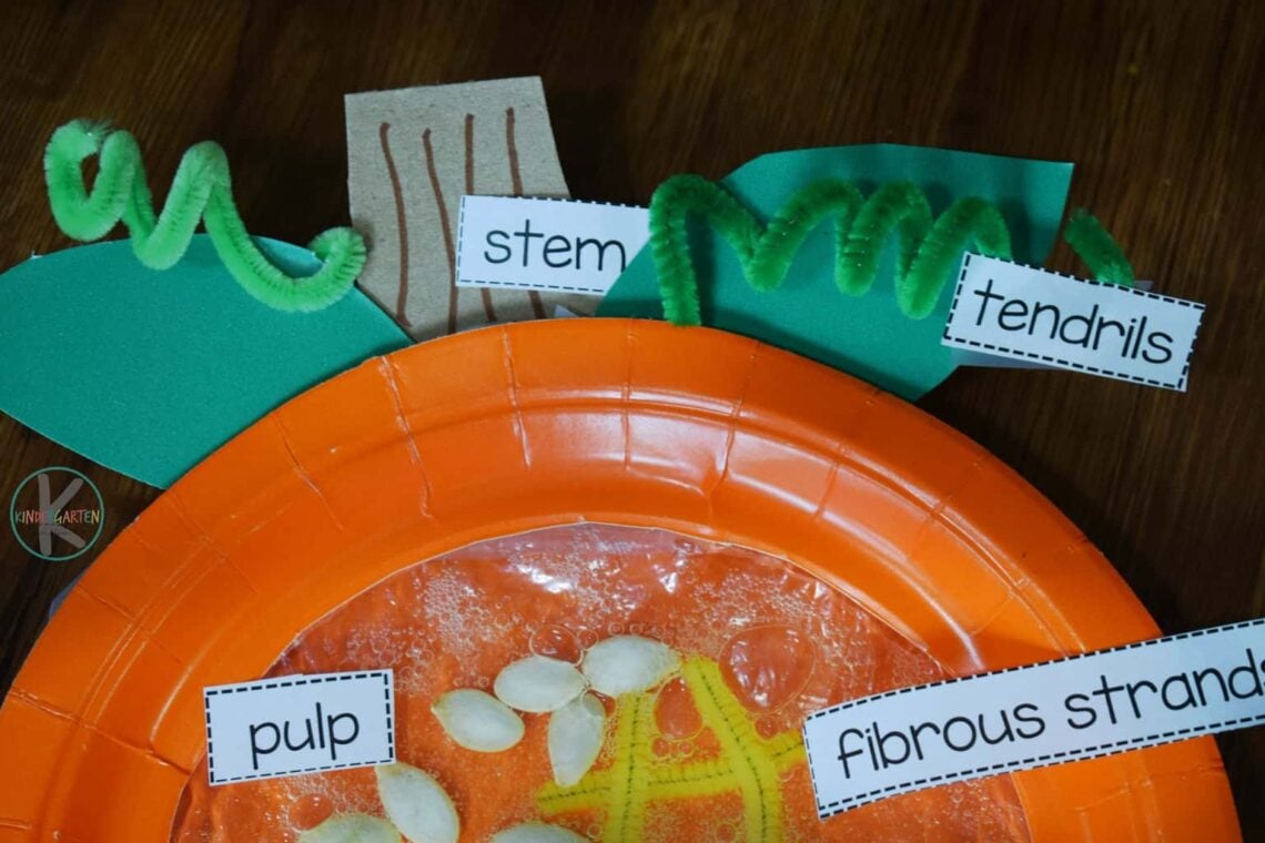 CUTE Parts of a Pumpkin Craft & Free Parts of a Pumpkin Worksheets