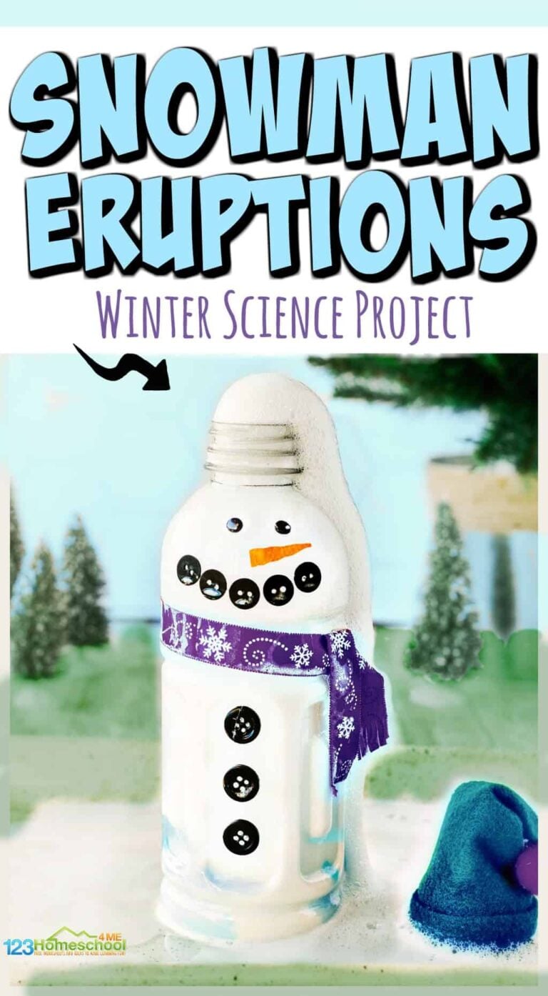 ️ FREE Snowflake Numbers - Winter Counting to 100 Printable Activity