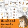 FREE Woodland Printables