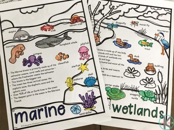 FREE Biomes Coloring Pages for Kids