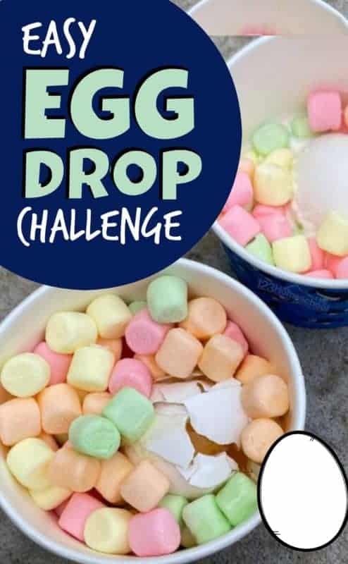 🥚 EASY Sink or Float Egg Science Experiment with FREE Worksheet