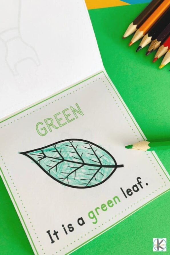 FREE Printable Color Mini Book for Kids