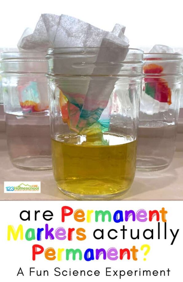 EASY Sharpie Permanent Marker Science Experiment for Kids