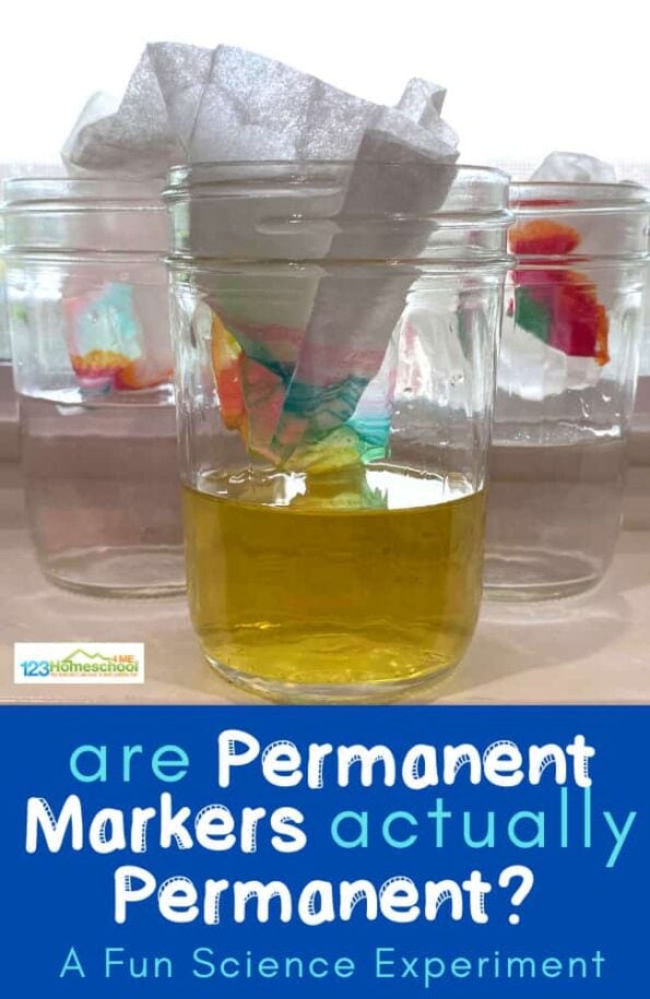 EASY Sharpie Permanent Marker Science Experiment for Kids