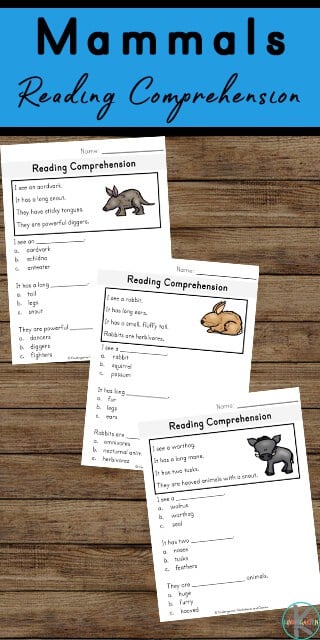 FREE Printable Kindergarten Reading Comprehension Worksheets
