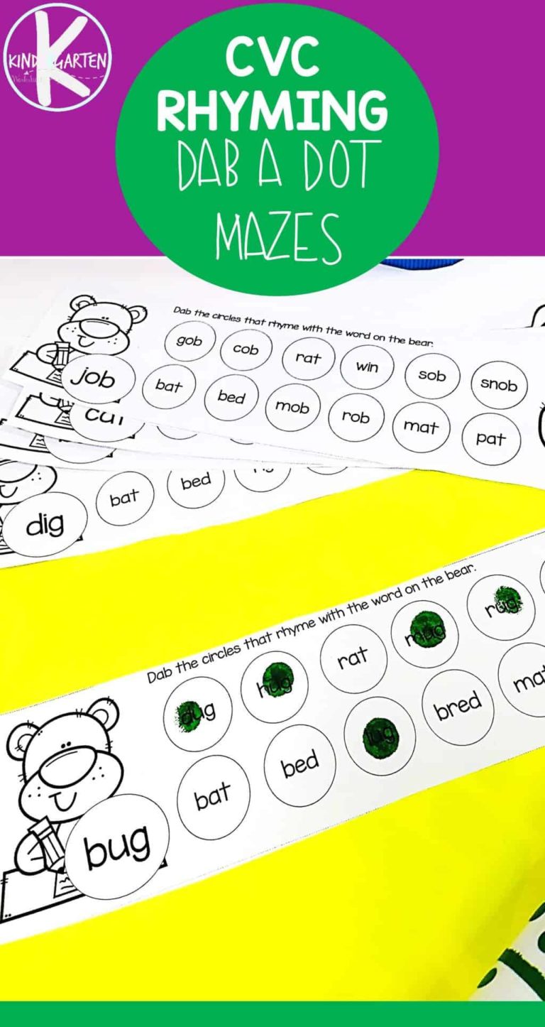 FREE Pet Animal Color by CVC Words Worksheets