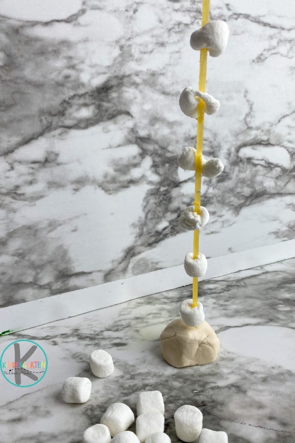 Dr Seuss Truffula Trees STEM Activities (The Lorax)