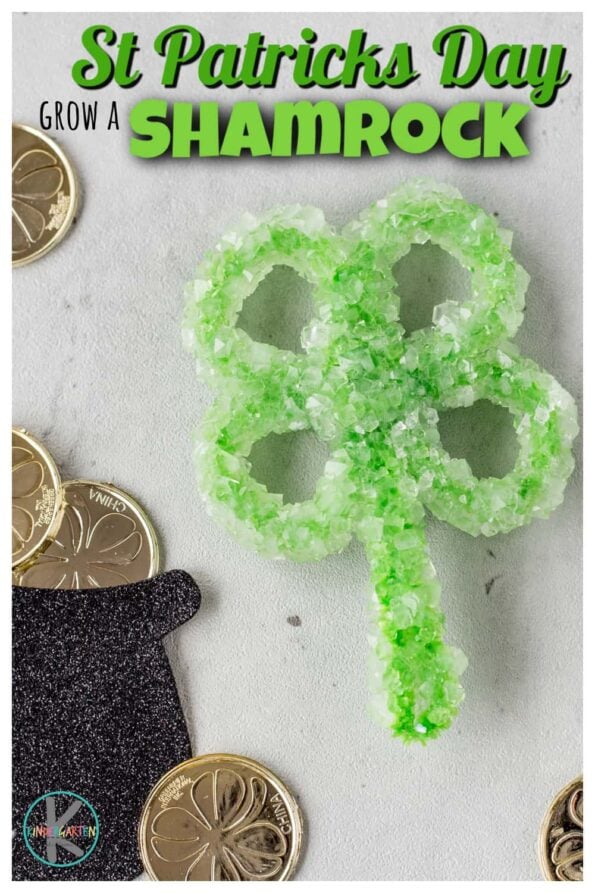 🍀 Grow a Shamrock Activity - St Patricks Day Science for Kids