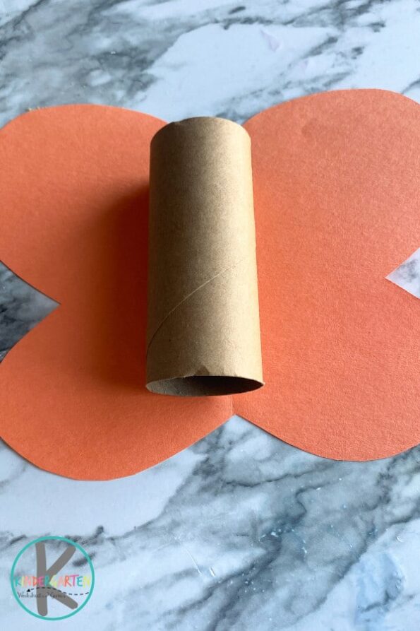 Toilet Paper Roll Butterfly Craft for Kids