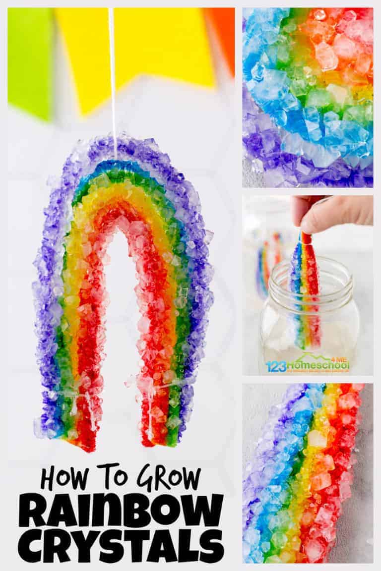 🌈 Grow a Rainbow - Capillary Action Experiment for Kids
