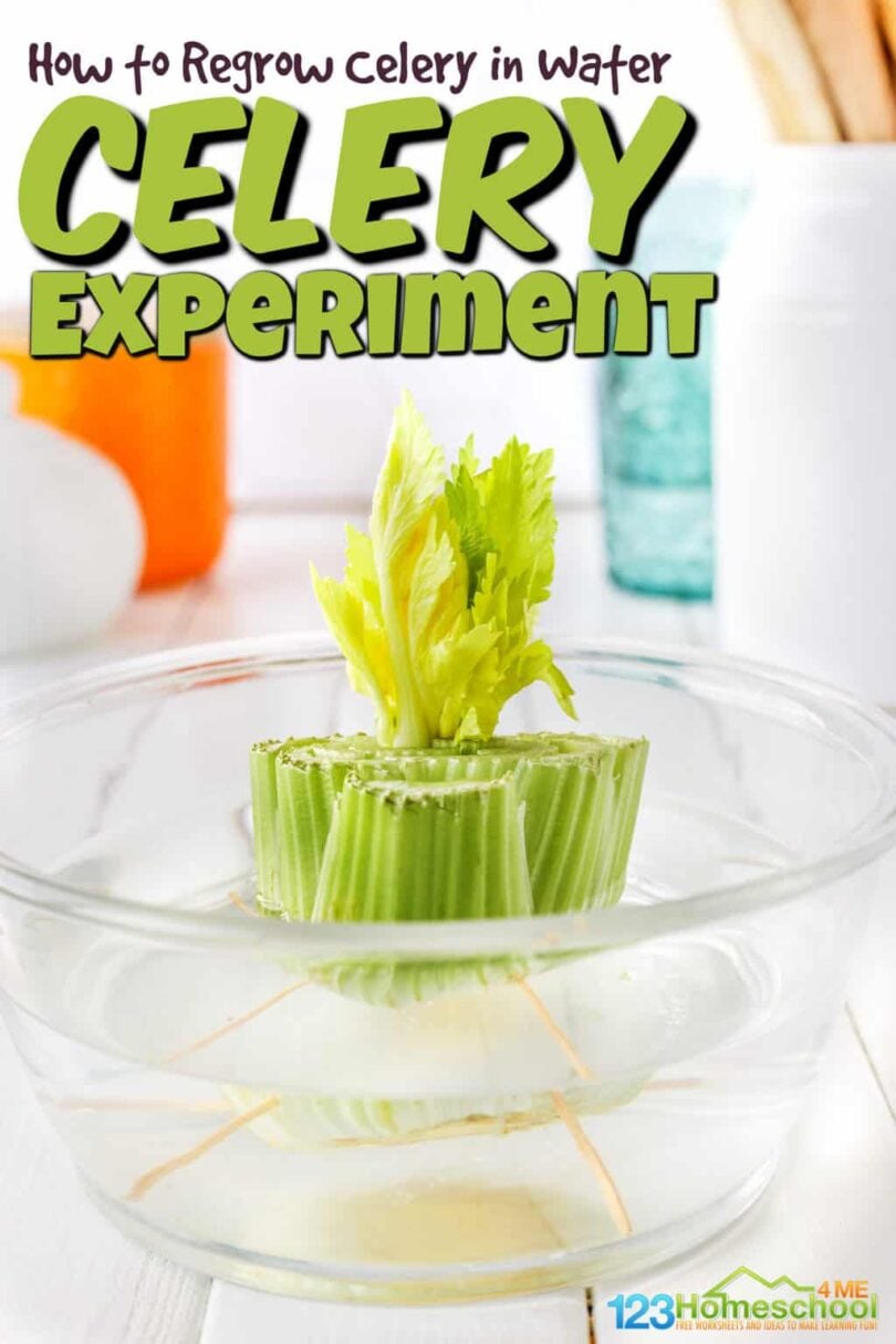 LOTS of Fun Kindergarten Activities for Seasons, Holidays, Themes!