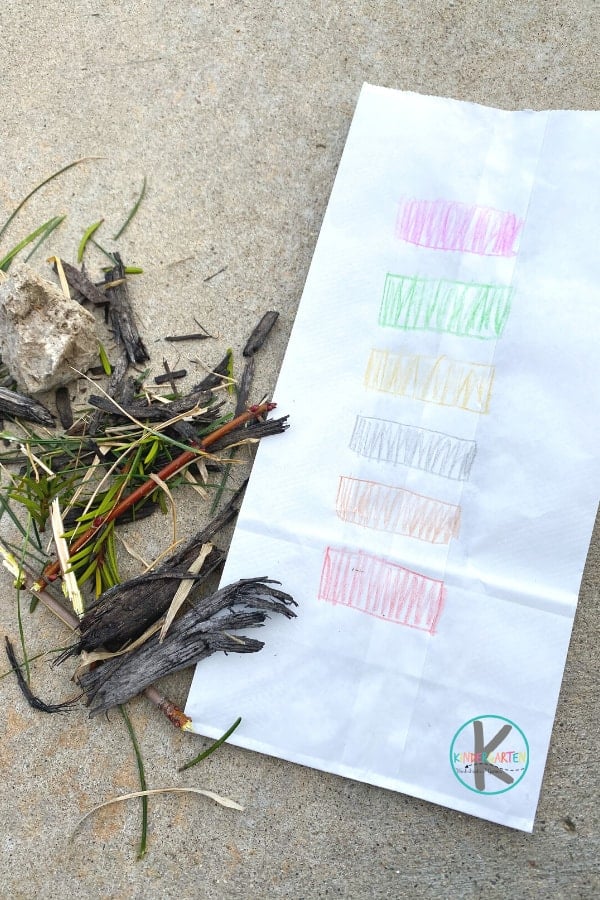 🌳 Nature Walk Scavenger Hunt Activity