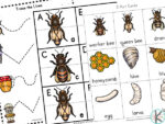 🐝 FREE Bee Life Cycle Worksheets Printables for Kids