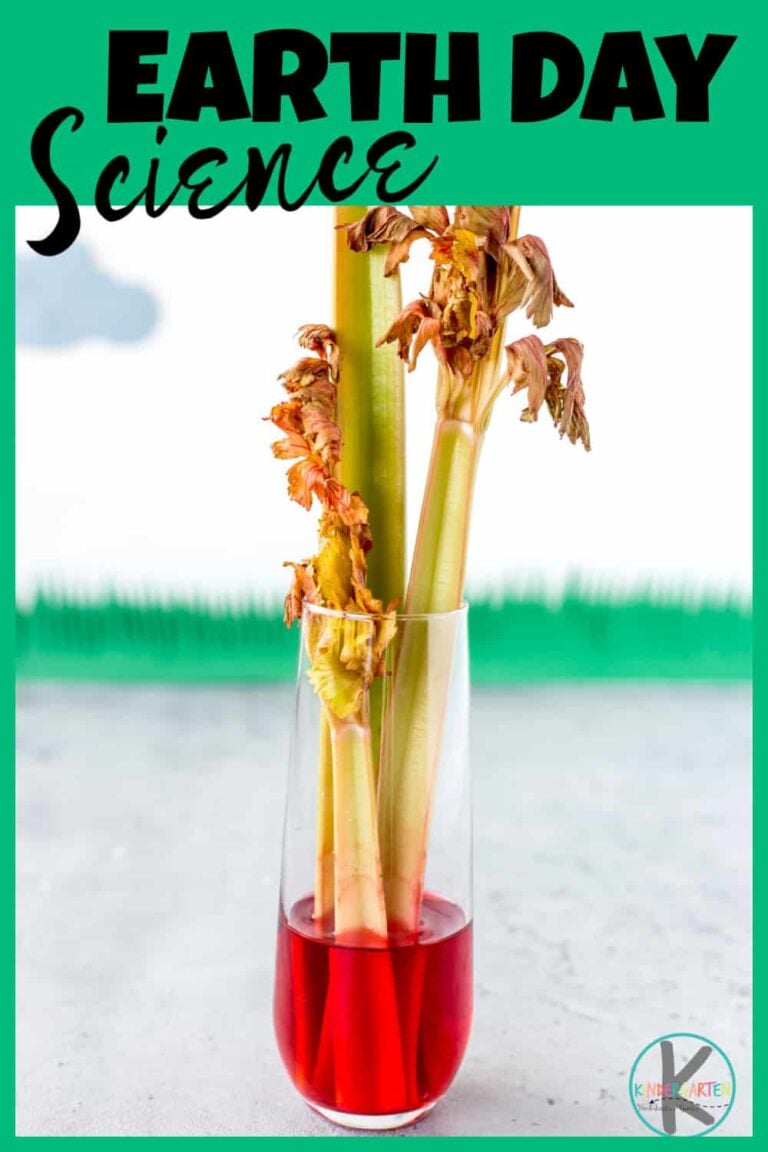 🌍 Earth Day Science - Celery Water Pollution Experiment for Kids
