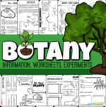 🌱 FREE Plant Life Cycles Printable Emergent Reader and Worksheets