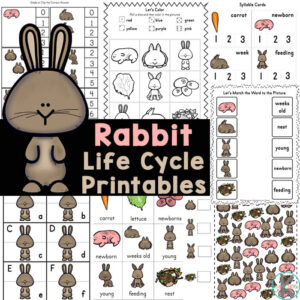 🐰 FREE Printable Rabbit Life Cycle Worksheets for Kids