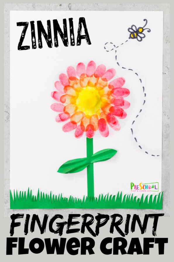 🌱 FREE Plant Life Cycles Printable Emergent Reader and Worksheets