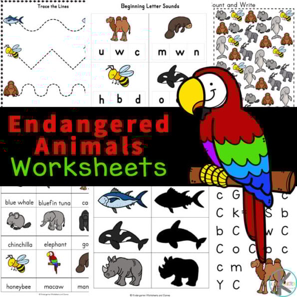 🦜🦍🦛 FREE FREE Printable Endangered Animal Worksheets for Kindergarten
