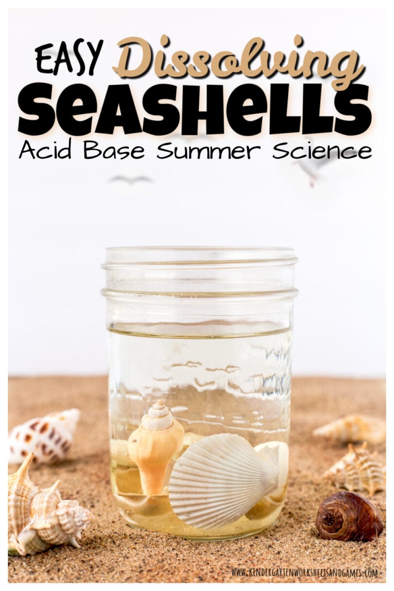 🐚 Easy Summer Activities Disolving Seashell Science Experiment