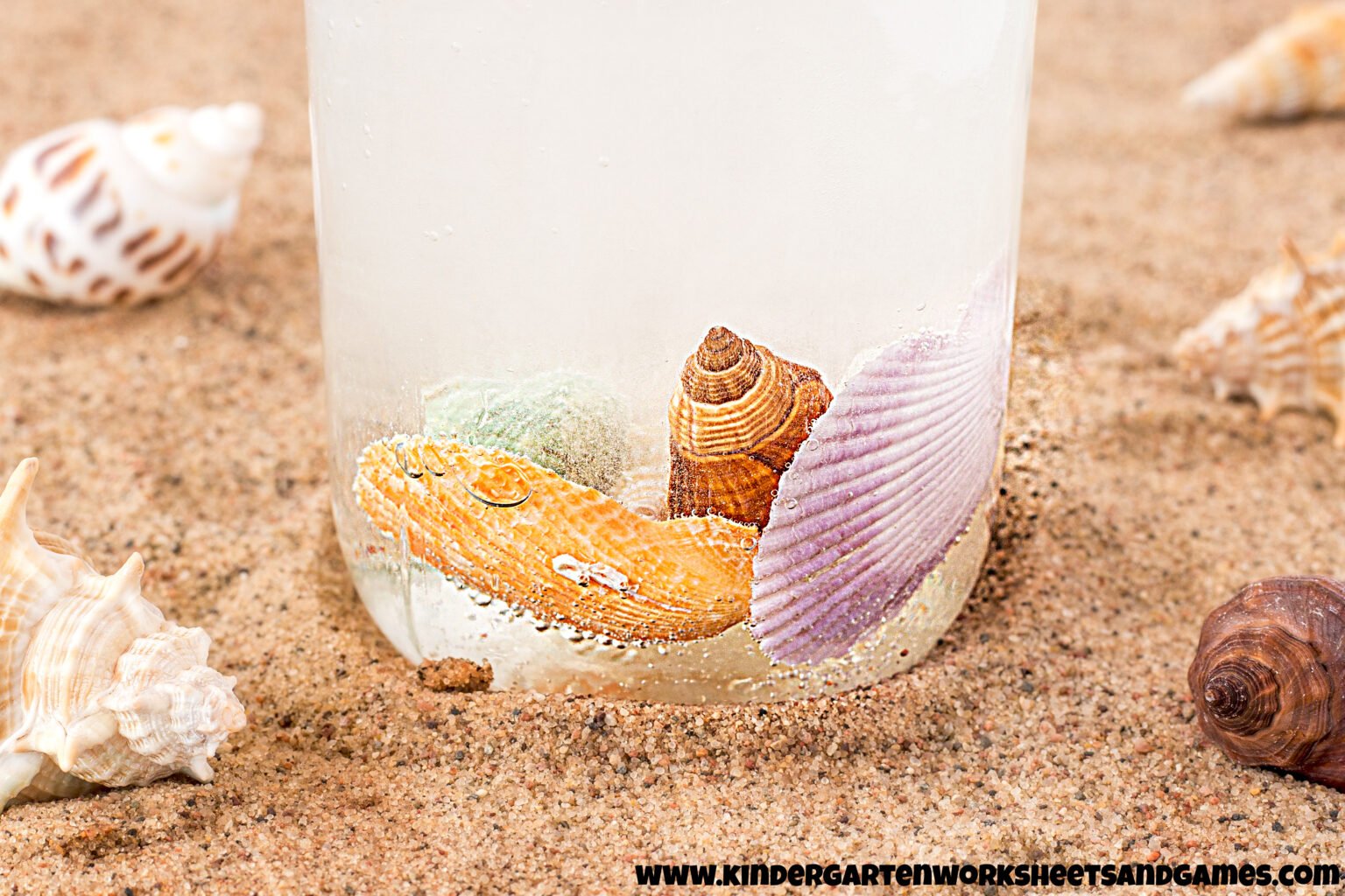 🐚 Easy Summer Activities Disolving Seashell Science Experiment