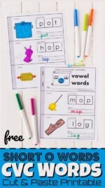 FREE Pet Animal Color by CVC Words Worksheets