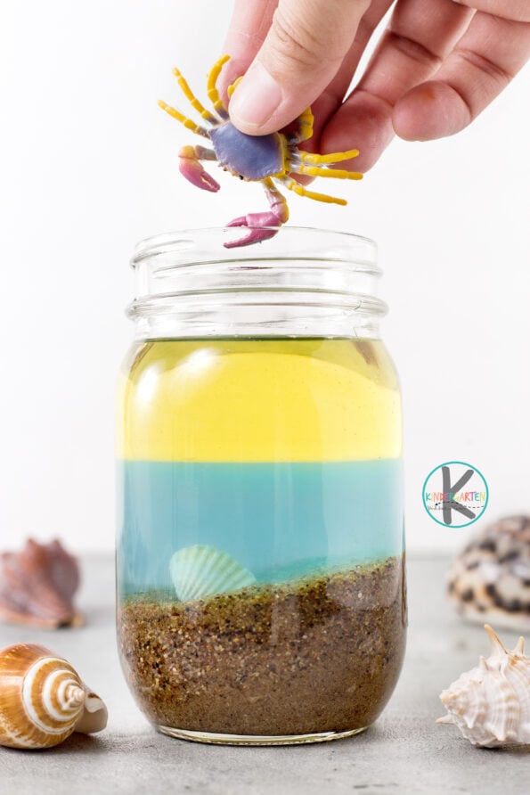 🐚 Beach Summer Density Tower Science Experiment for Kids