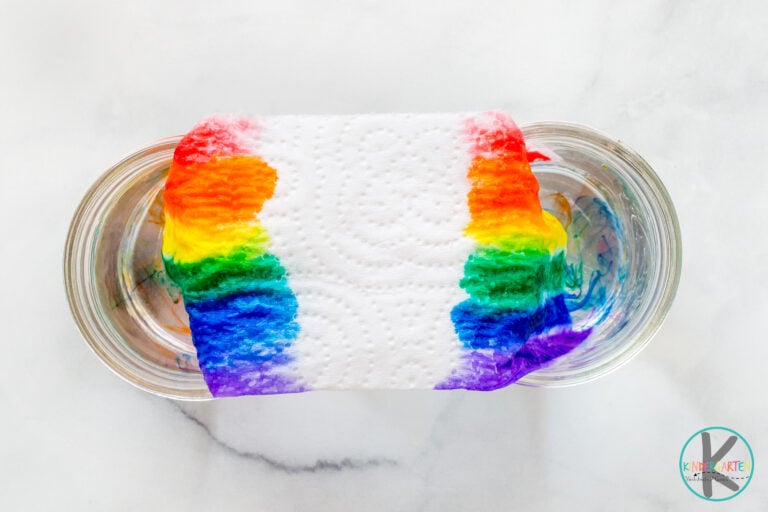 🌈 Grow a Rainbow - 5 minute Science Experiment Exploring Capillary Action